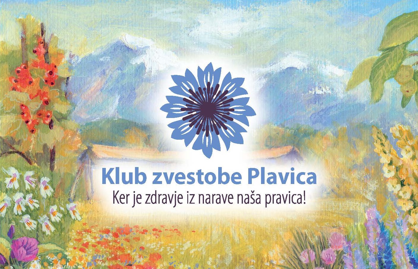 Katalogi - Plavica