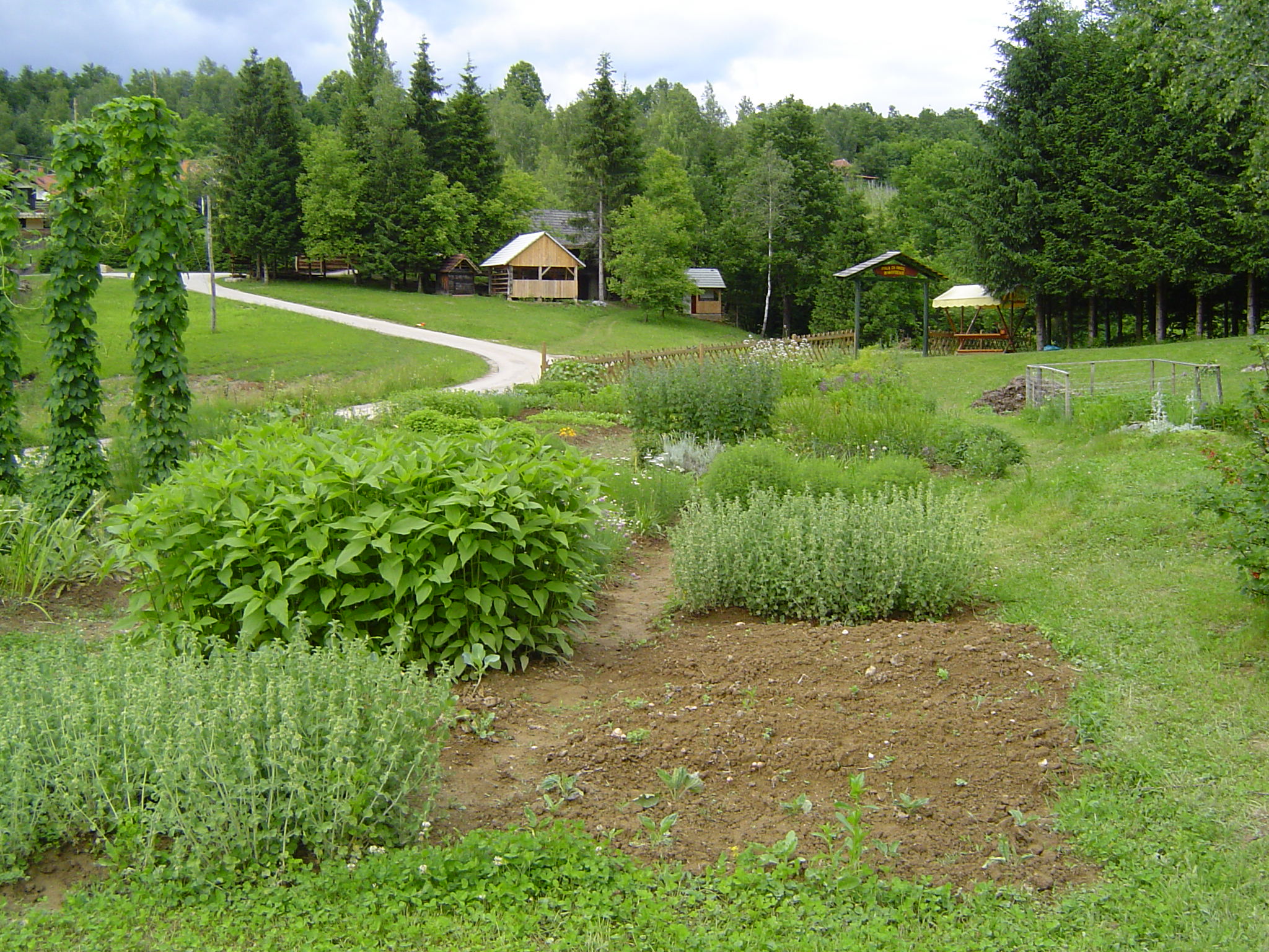 Kmetija Plavica - Plavica